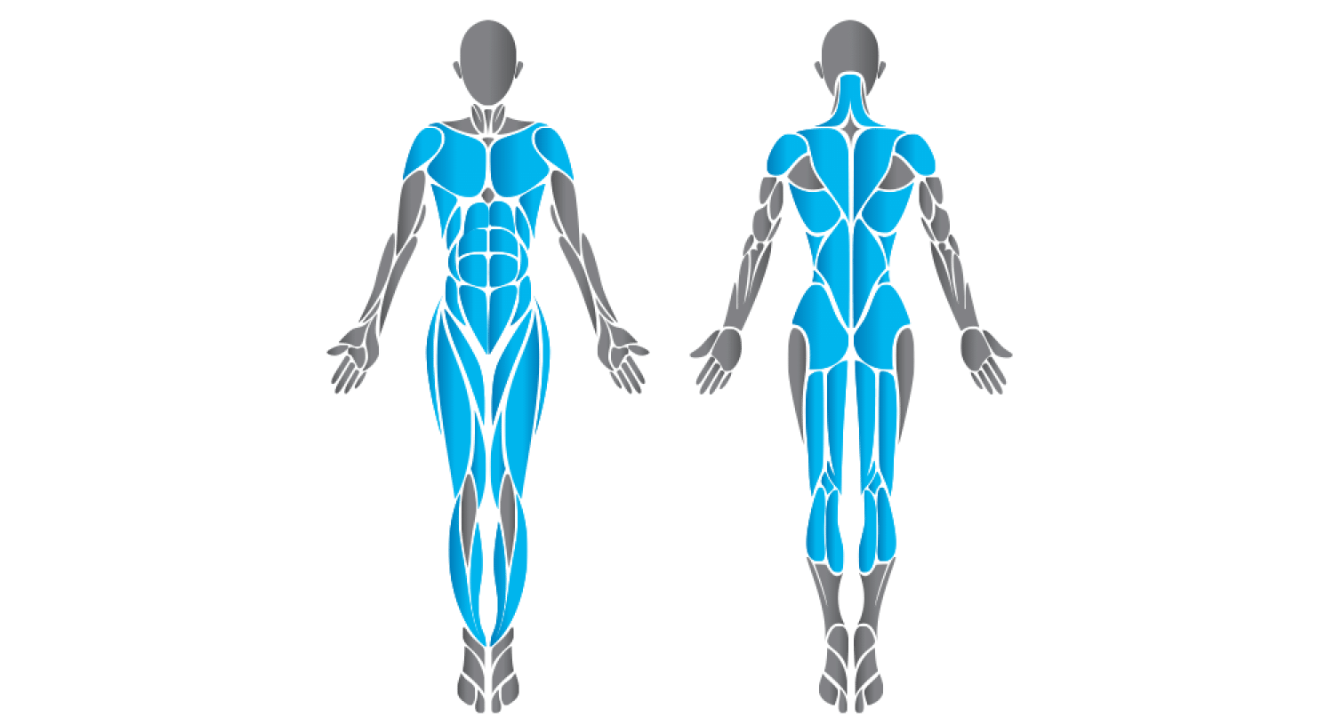 Functional trainer Bravo Advanced Cybex